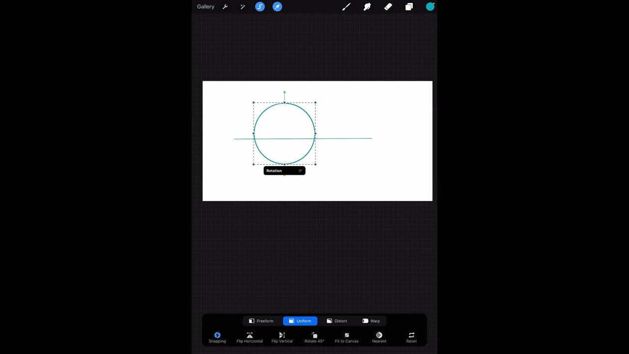 Beginner video #1 Procreate for Leather