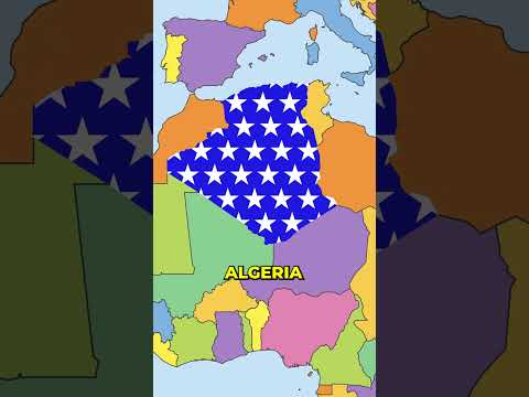 The ONLY 9 Democratic Countries...?! #geography #maps #democracy