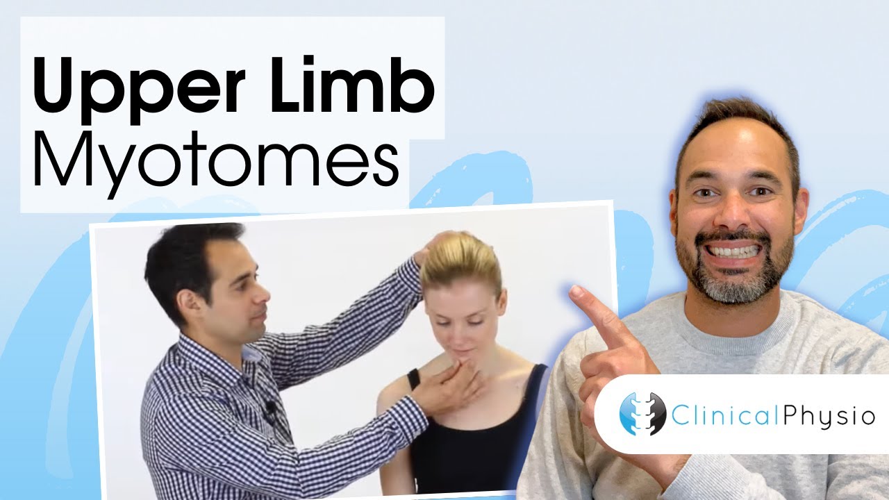 Upper Limb Myotomes | Clinical Physio