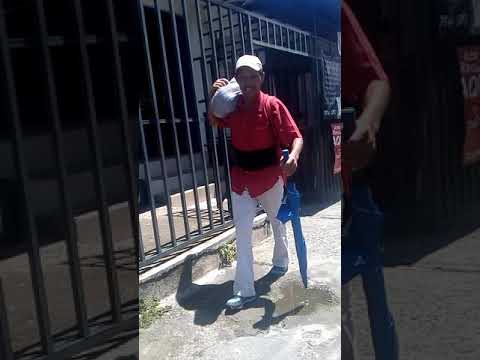 Lleve pinolilllo