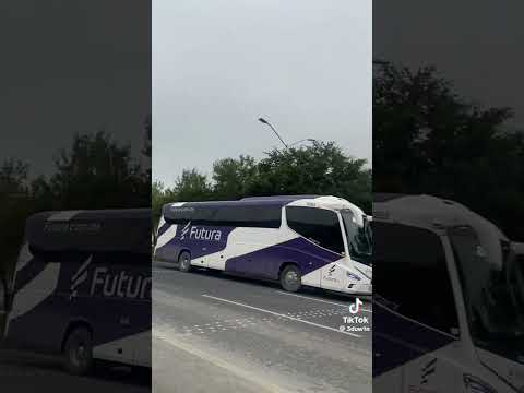 Autobuses FUTURA y omnibus de México plus