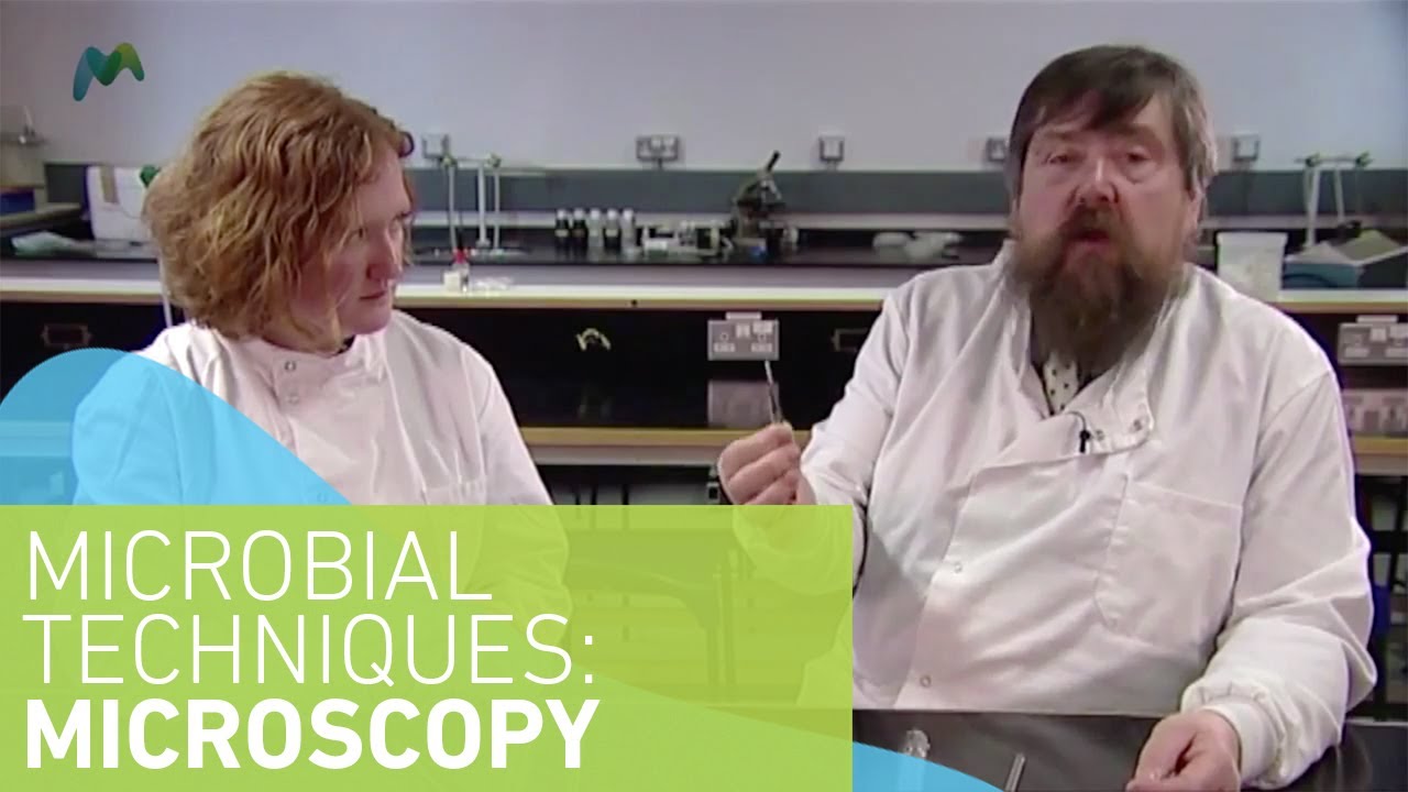 Microbiology Techniques: Microscopy