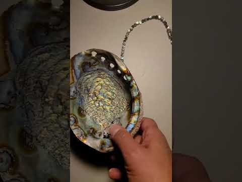 abalone manifestation from sun