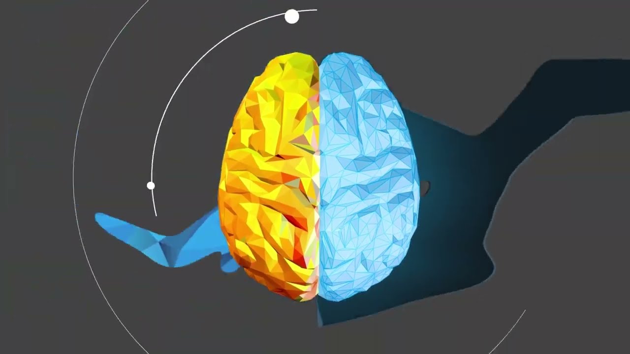 About IMS Consulting & Expert Services