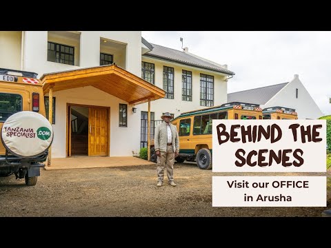Behind the scenes in our Tanzania Specialist office in Tanzania