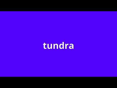 what is the meaning of tundra