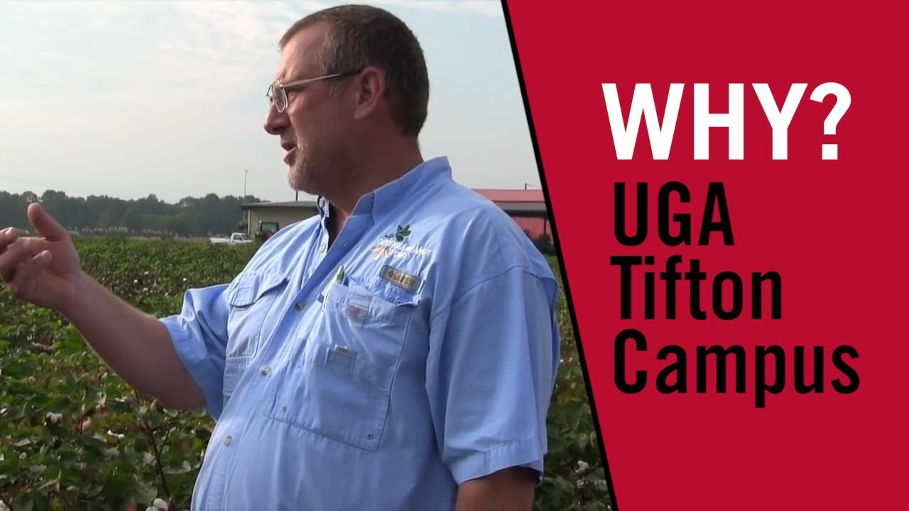 Why I love to teach at the UGA Tifton Campus-Glen Harris