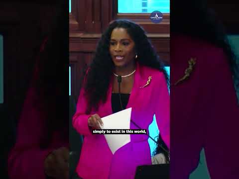 Illinois State Rep. Jehan Gordon-Booth speaks about her Clean Slate ...