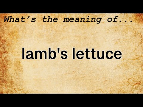 Lamb's Lettuce Meaning : Definition of Lamb's Lettuce