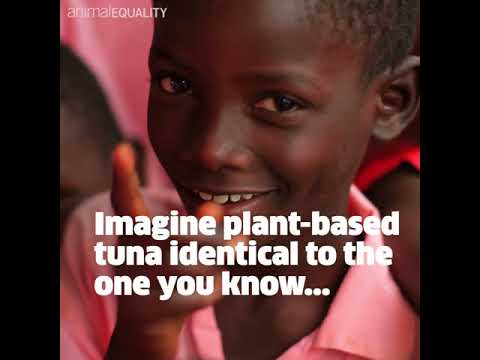 Impossible Foods Introduces Plant-Based Fish!