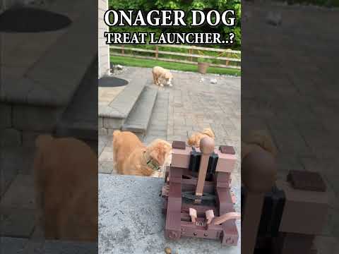 Catapult… Dog Treat Launcher? #3dprinting #freestl #3dprinter