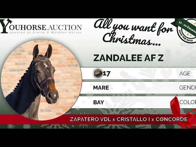 Youhorse.auction | Zandalee