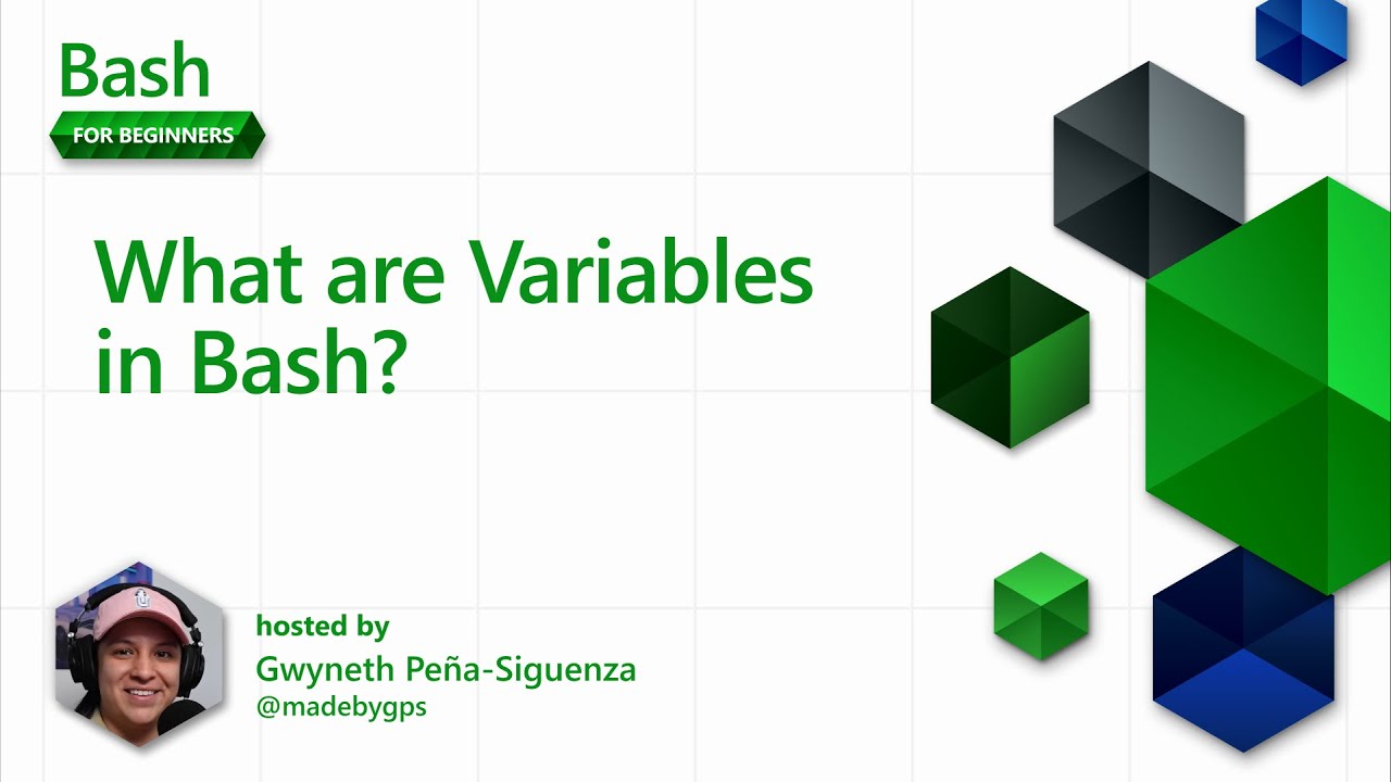 What are Variables in Bash? [14 of 20] | Bash for Beginners