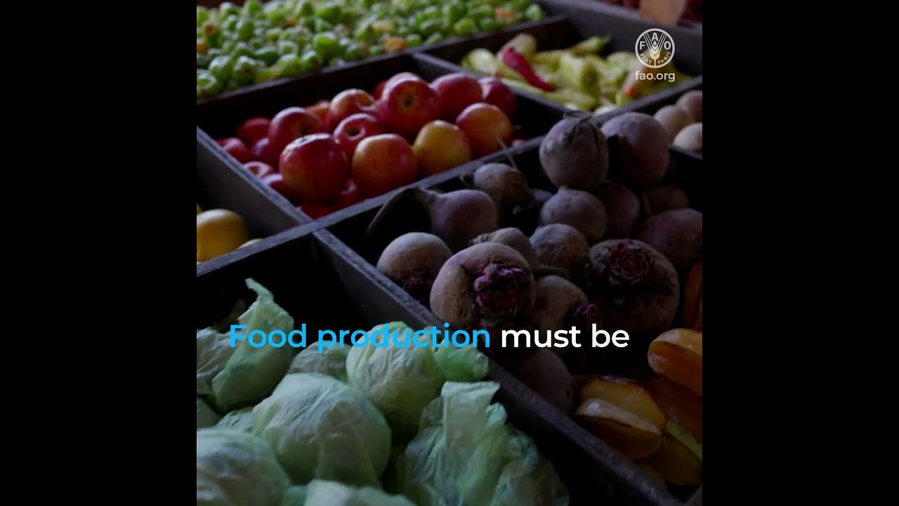 Four ways science, technology and innovation can help transform agrifood systems