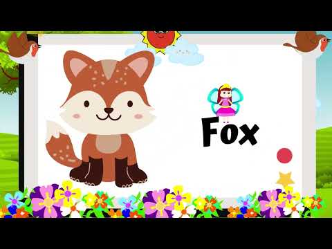 20 Word That Start With Letter X || X for Word || Alphabet Letter X || English vocabulary for kids