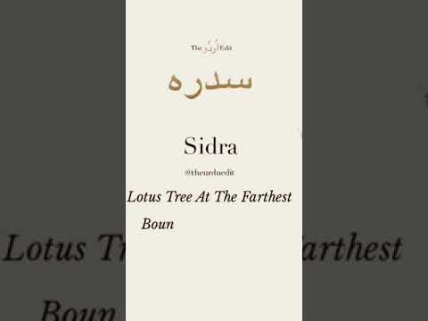 The beautiful name SIDRA meaning in english