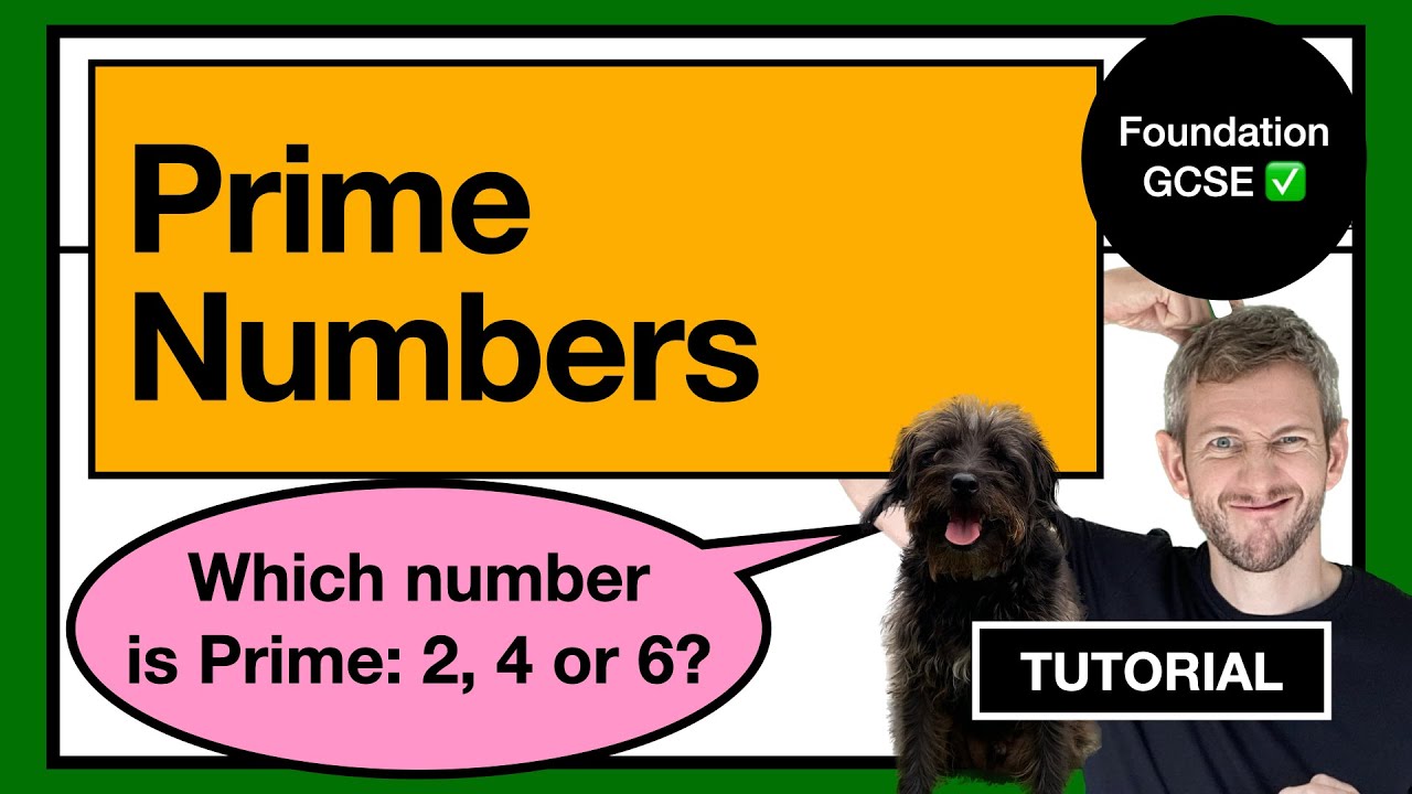 78. Prime Numbers Tutorial