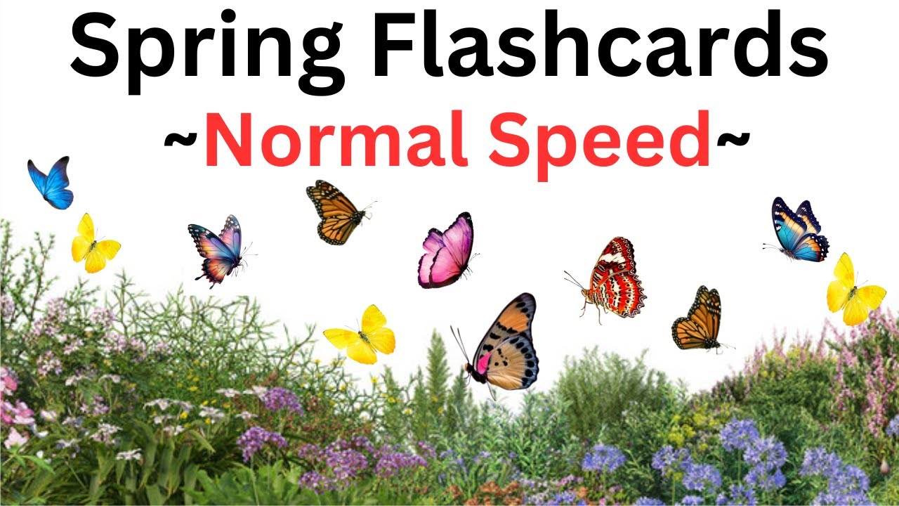 Spring Flashcards ~Normal Speed~