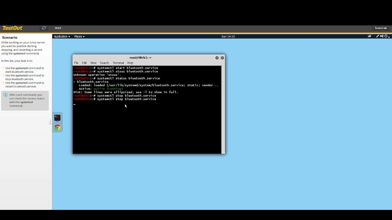 4.4.4 Manage System Services