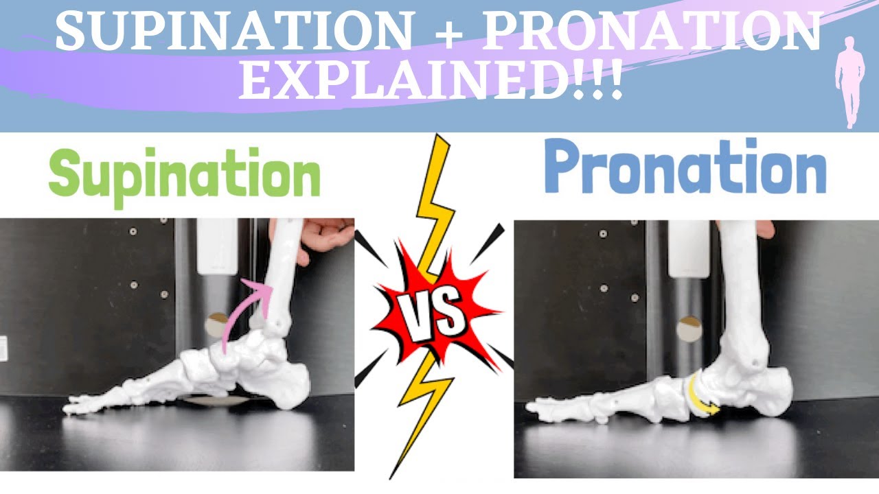 Foot and Ankle Biomechanics: Subtalar Joint Anatomy & Kinesiology