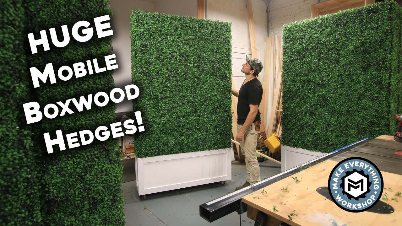 Making 5 HUGE Boxwood Hedges