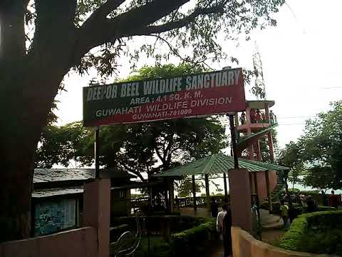 Today Visited Deepor Beel, Guwahati | My Own Blog