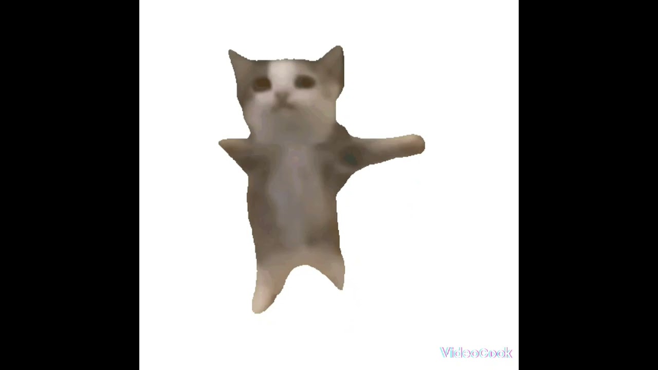 part Gif: https://media.tenor.com/iTYu258_py8AAAAM/why-whatever.gif