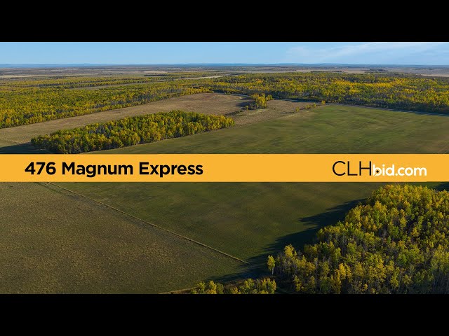 Auction Video Thumbnail