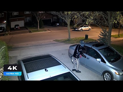 Reolink Captures: Suspicious Person Checking the Car (Auto-tracking)
