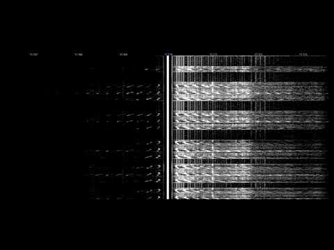Ukraine numbers station E17z | Signal Phantom