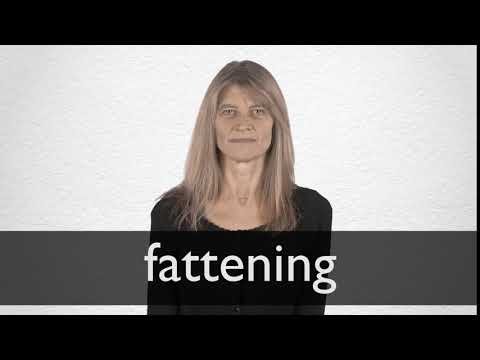 FATTENING definition and meaning | Collins English Dictionary