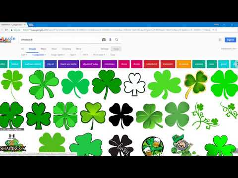 Google Chrome - Google Image Search