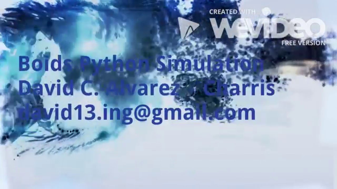 Boids Python Simulation