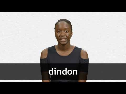 How to pronounce DINDON in French