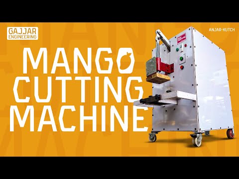 Raw Mango Cutting Machine - Green Mango Cutting Machine Latest Price ...