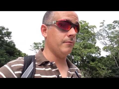 Living in Japan Without Japanese