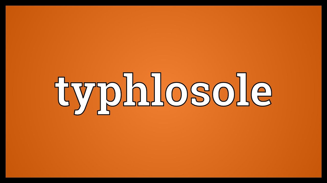 Typhlosole Meaning