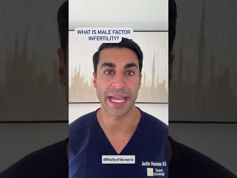 What Is Male Factor Fertility? Everything You Need to Know! | Justin Houman MD | Los Angeles