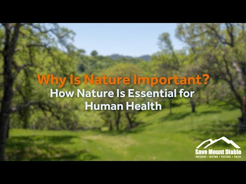 Why Is Nature Important?