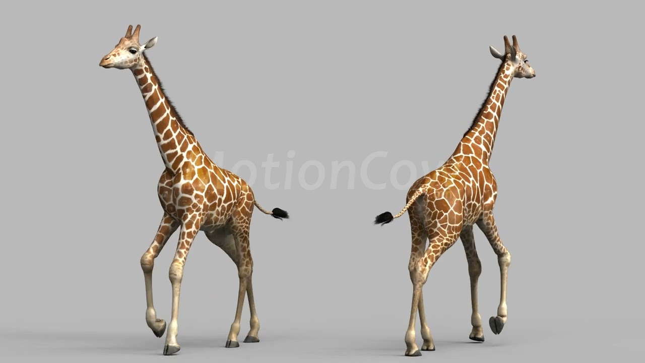 Giraffe Pro 3D Model