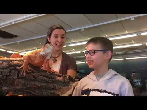Spanish Lesson: Let's learn about Tabasco, the iguana