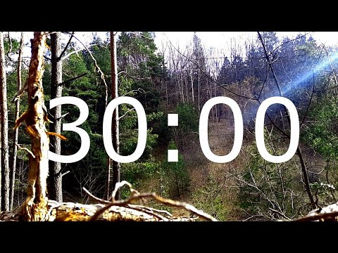 30 Minute Timer with Classical Music and Alarm