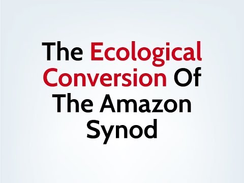 Podcast Show Notes: The Ecological Conversion Of The Amazon Synod ...