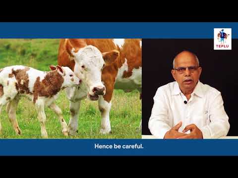 ANIMAL HEALTH & DISEASE MANAGEMENT- Demo Lecture