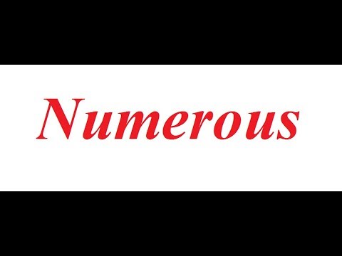 Numerous: Correct Pronunciation and Synonyms