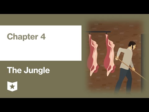 The Jungle Study Guide | Course Hero