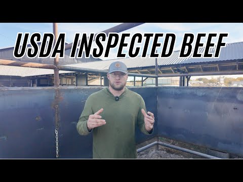 What Does USDA Inspection Mean in Beef Processing?