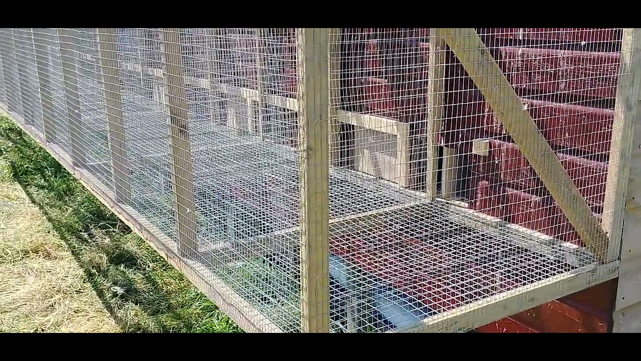 Individual breeding section aviaries complete ✅