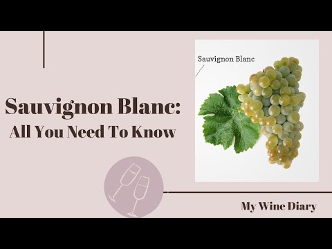 Sauvignon Blanc: Everything You Need to Know About This Iconic White Wine!
