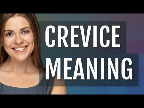 Crevice | meaning of Crevice
